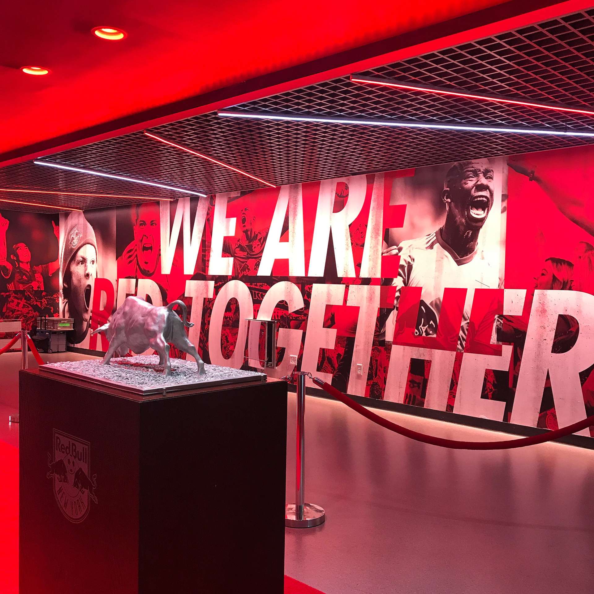 New York Red Bulls Soccer Games: A Fun Experience From Start to Finish ...