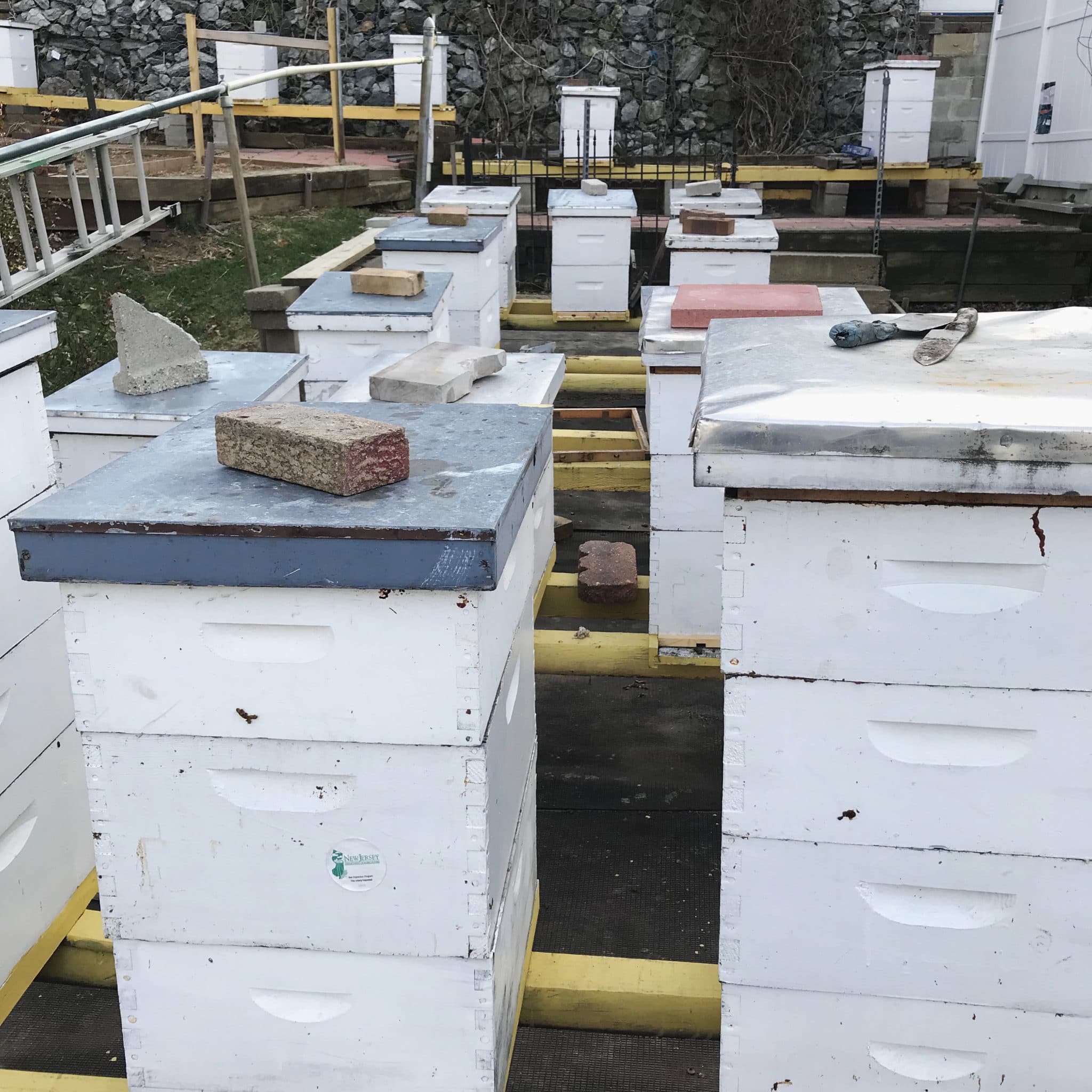 Uncle Gordon’s: A Hidden Backyard Honey Farm in North Bergen - Hoboken Girl