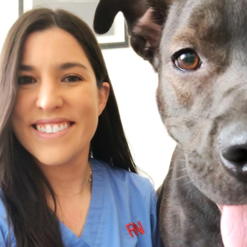 Alexandra Grippo, an ICU Nurse at New York-Presbyterian in NYC ...