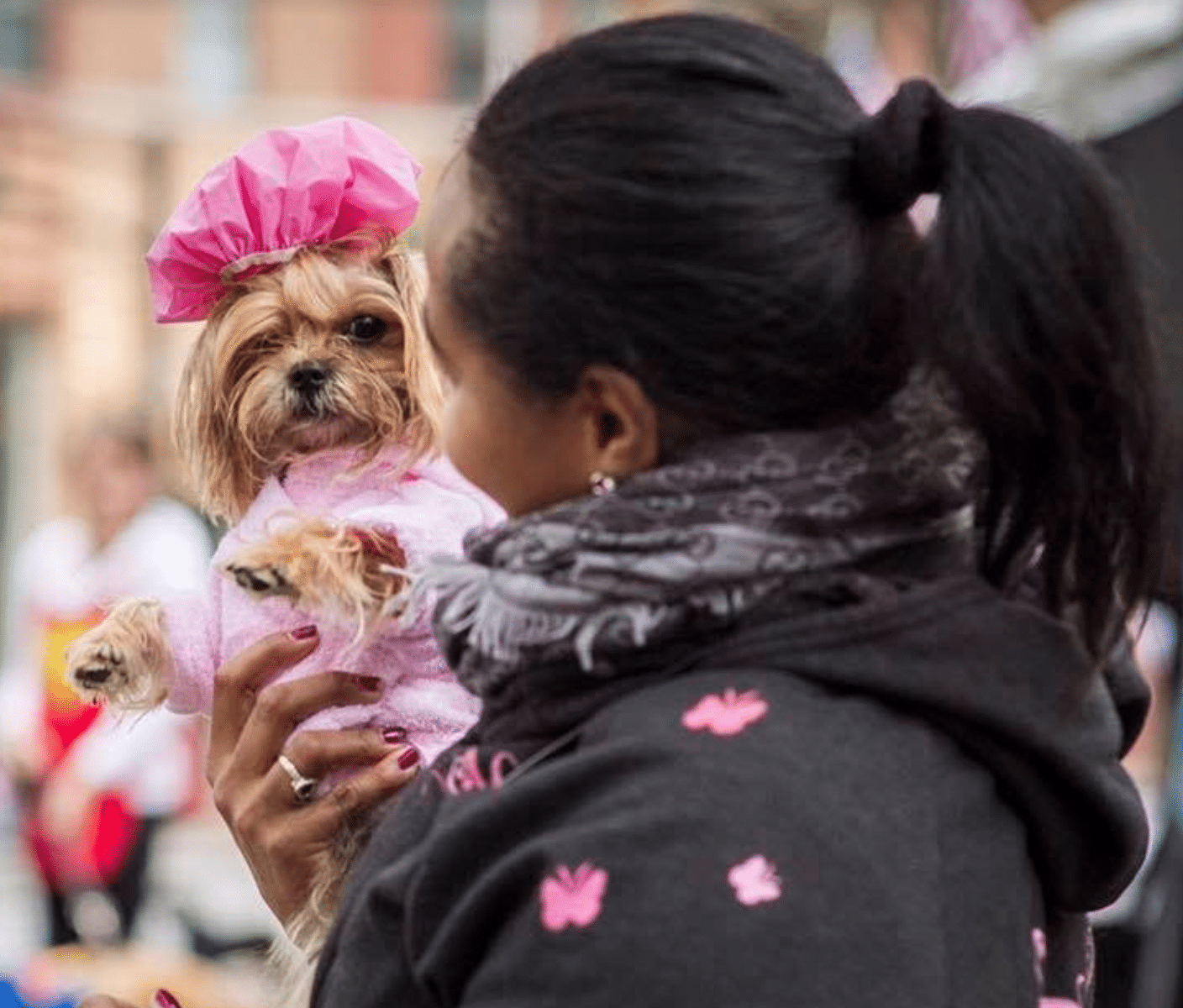 The Liberty Humane Society's Bark in the Park Goes Virtual - Hoboken Girl