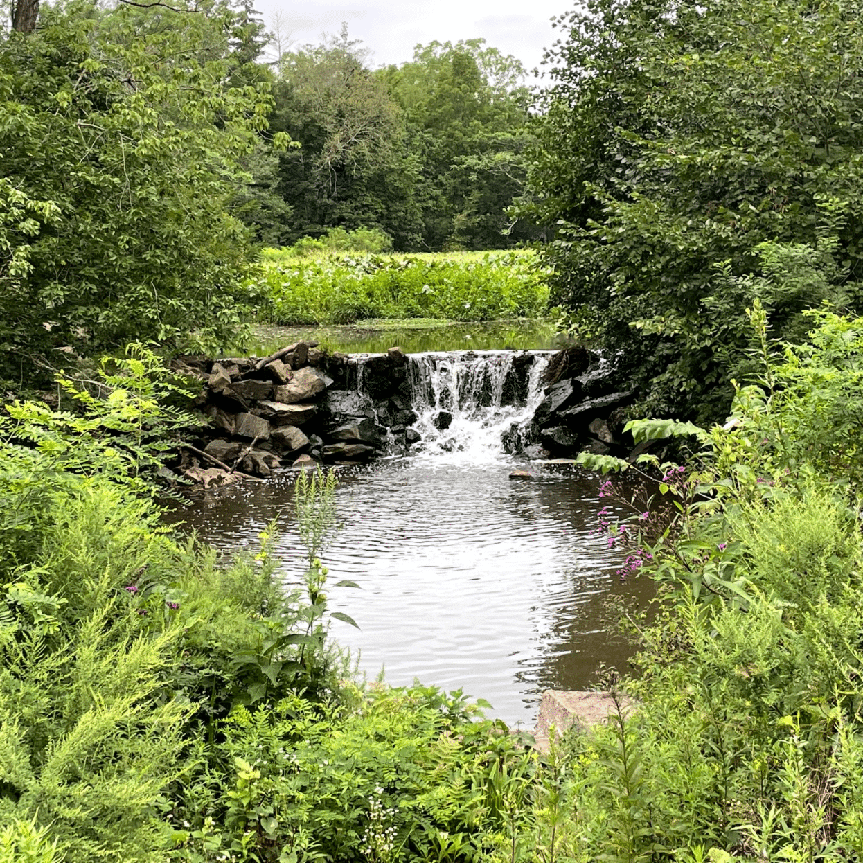 Duke Farms Nature Preserve in NJ is a True Adventure - Hoboken Girl
