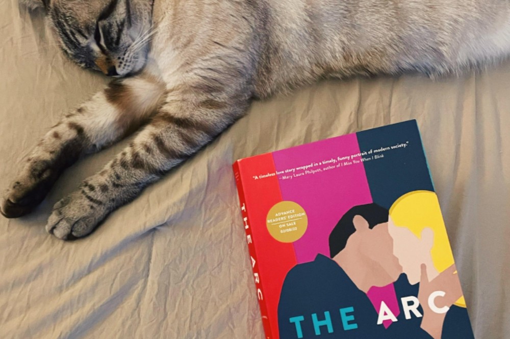 Your Curated Book Binge for February - Hoboken Girl