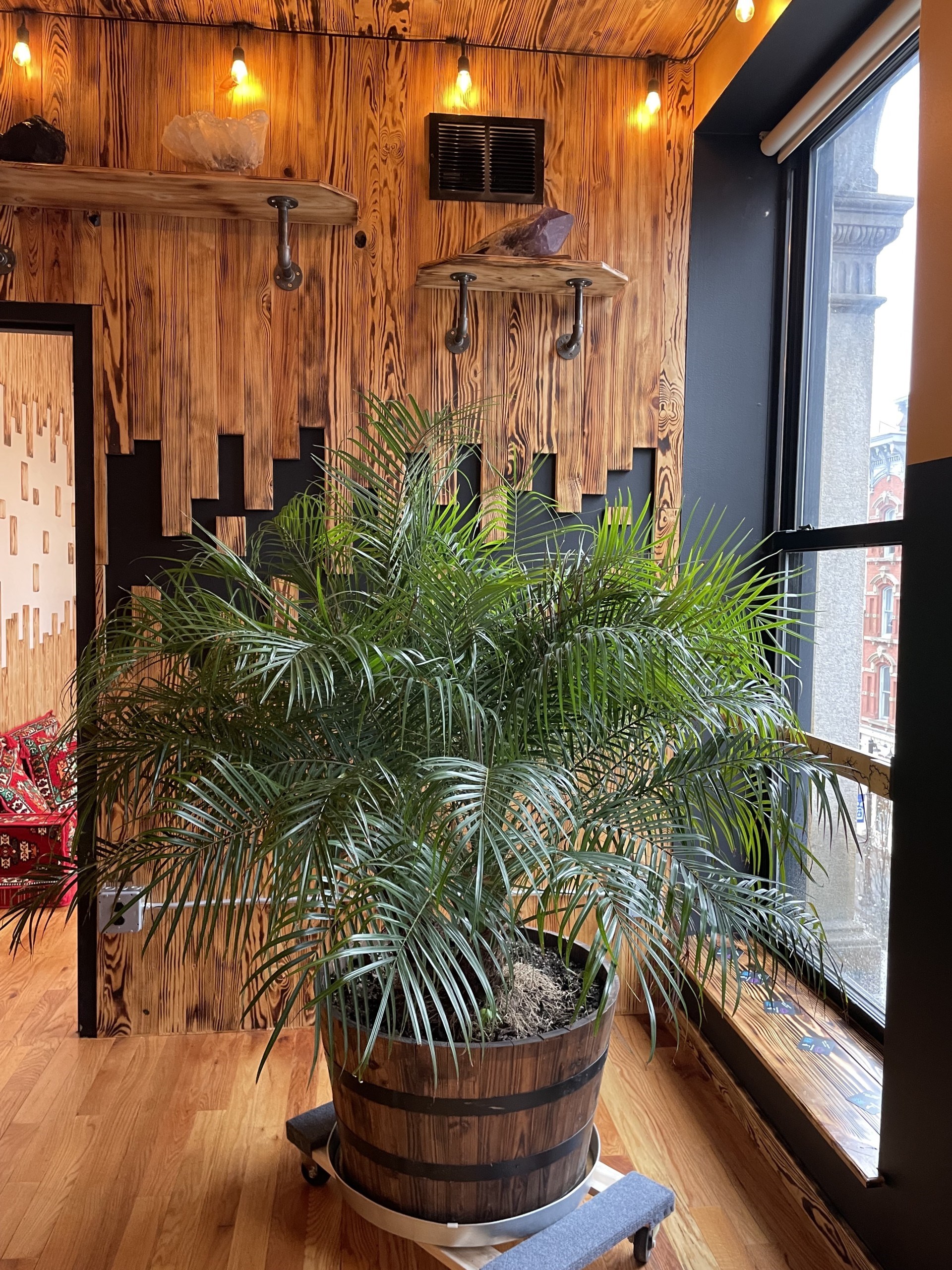 All About Serendipity Loft in Jersey City - Hoboken Girl
