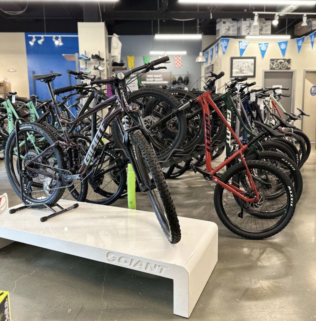 All About Grove Street Bicycles in Jersey City - Hoboken Girl