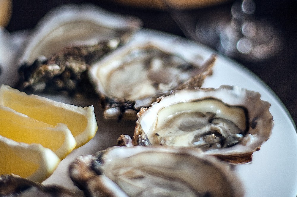 New Seafood Restaurant Coming to the Jersey City Waterfront - Hoboken Girl