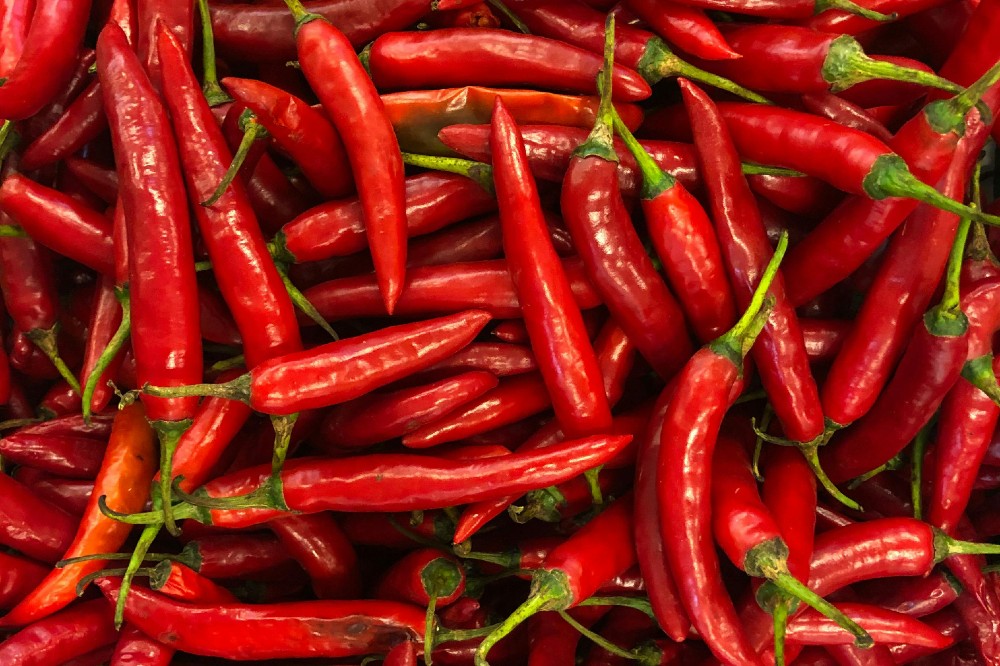 Hoboken’s Hot Chili Eating Contest is Returning on 10/5 - Hoboken Girl