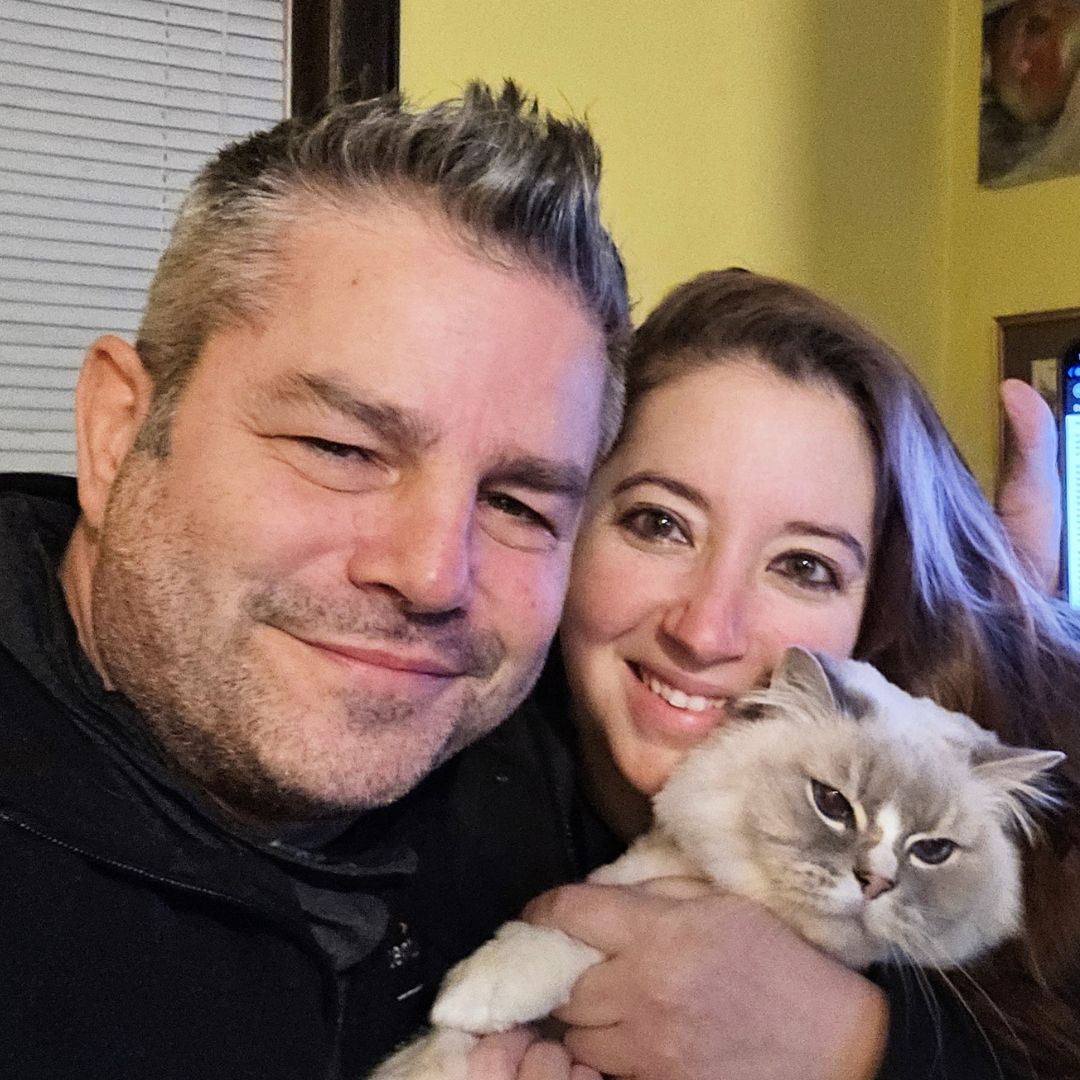New Cat Grooming Spot Opening in Hoboken on 6/25: Meet Swifty Cats ...