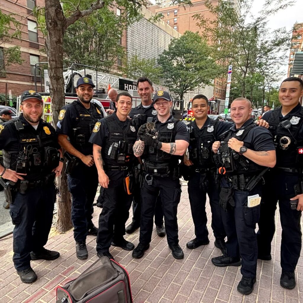 From Sewer to Saved: How Hoboken First Responders Helped this Kitten ...