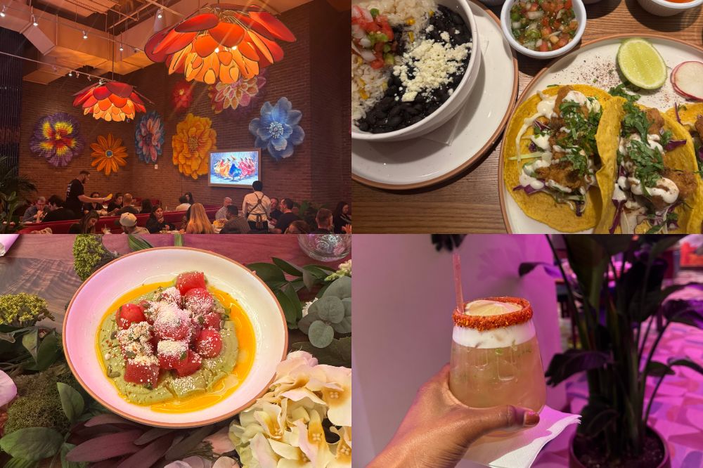 Meximodo Opens 2nd NJ Location in Downtown Jersey City - Hoboken Girl